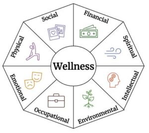 CSN Wellness Guidelines – The NSF Center for Sustainable Nanotechnology