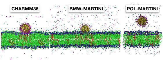 CSN Publication: Molecular Dynamics Simulation of Interaction between ...