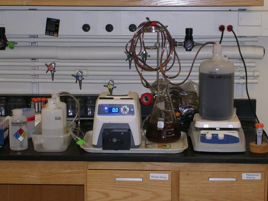 First CSN Patent Issued – The NSF Center for Sustainable Nanotechnology